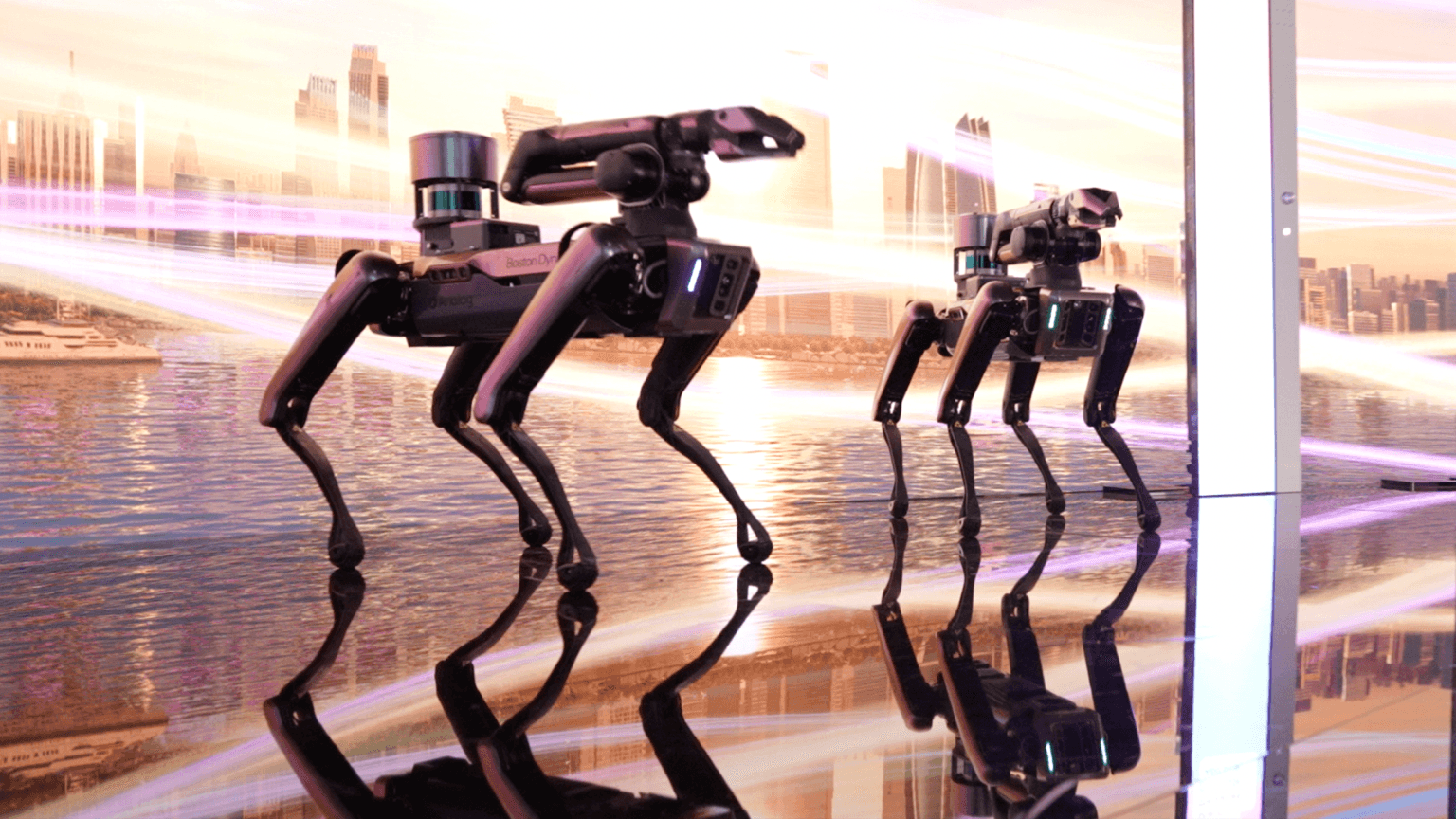 Physical Intelligence on Four Legs | Analog